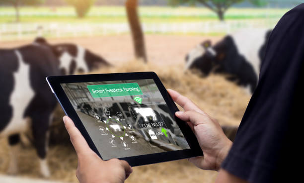 Livestock Monitoring In Agriculture Using Iot Al Ardh Alkhadra Home