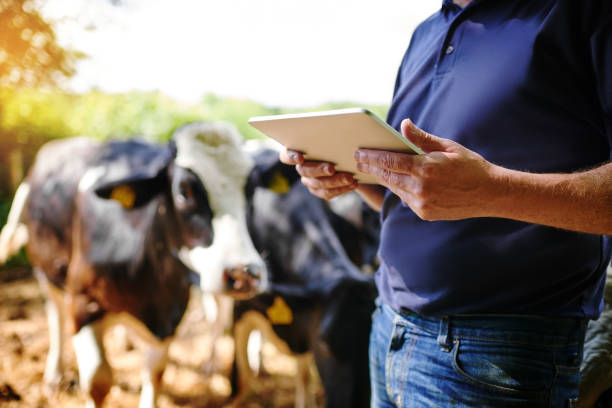 Livestock Monitoring in Agriculture Using IoT - Al Ardh Alkhadra - Home