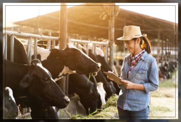 Livestock Monitoring in Agriculture Using IoT - Al Ardh Alkhadra