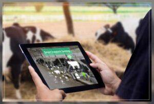 Livestock Monitoring in Agriculture Using IoT - Al Ardh Alkhadra