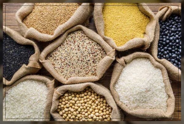 What are the World's Staple Food Crops? - Al Ardh Alkhadra