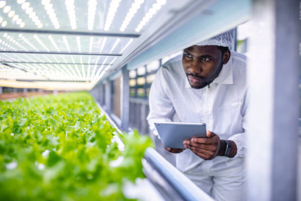 Controlled Environment Agriculture, CEA - Al Ard Alkhadra - Home