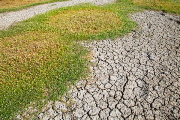 Soil Degradation: Causes and Prevention - Al Ard Alkhadra - Home