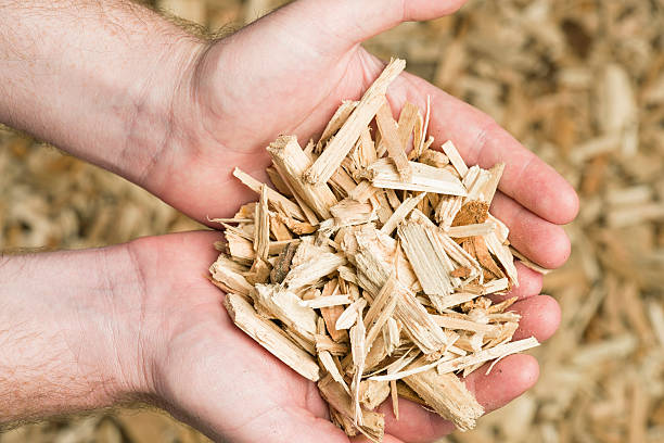 Biomass Energy: Role in Agriculture @ Al Ardh Alkhadra