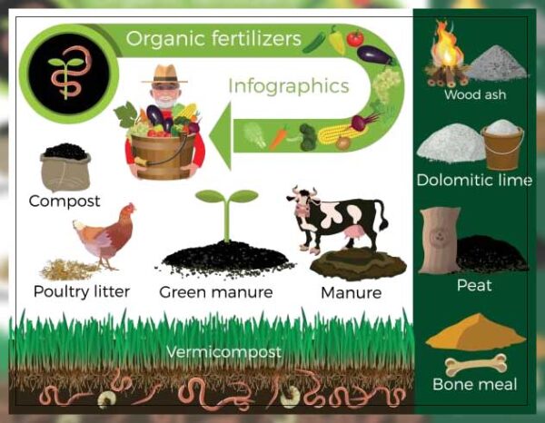 Types of Organic Fertilizers - Al Ardh Alkhadra