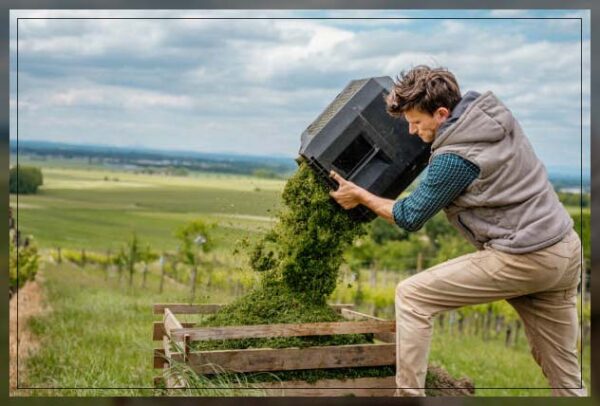 Agricultural Waste Management: Ways and Importance - Al Ardh Alkhadra
