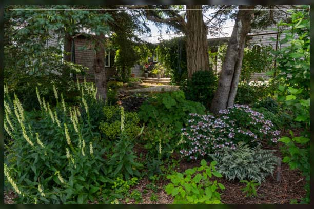 5 Simple Shade Garden Ideas to Brighten Your Space - Al Ardh Alkhadra