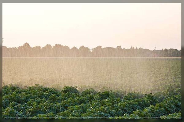 Impact of Water Cycle Process on Farming - Al Ardh Alkhadra