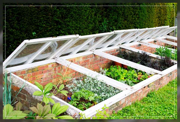 Winter Garden: Planting Crops for the Cold Season - Al Ardh Alkhadra