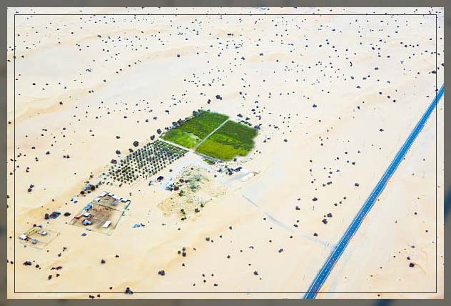 Dubai Farm: The Farms of the Future - Al Ardh Alkhadra