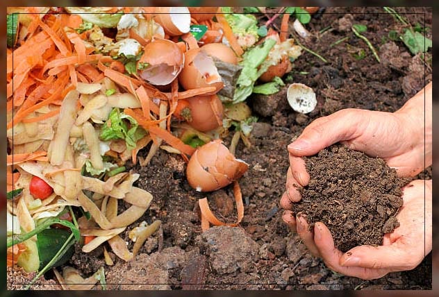 How Decomposition Happens? - Al Ardh Alkhadra