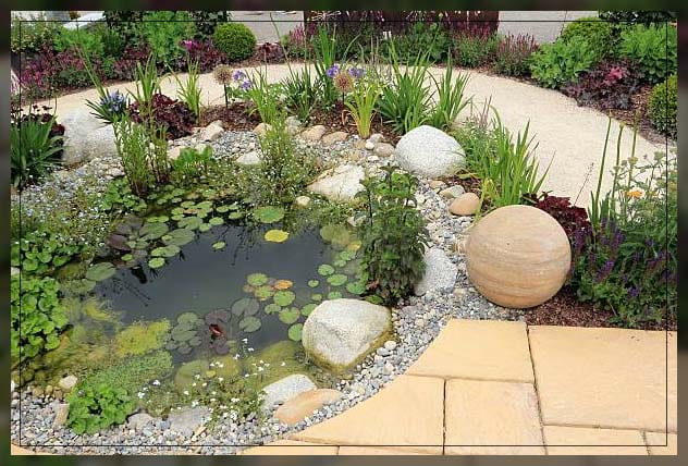 Zen Garden: Components, Principles, and How to Make it? - AAAK