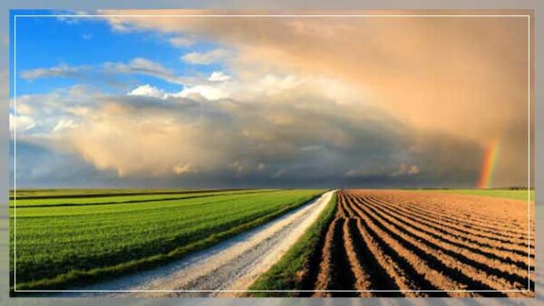 Kharif Crops: An Overview - Al Ardh Alkhadra
