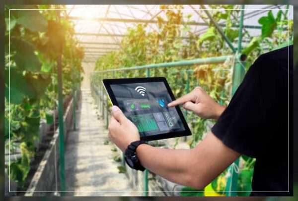 The Role of Temperature Sensor in Farming - Al Ardh Alkhadra