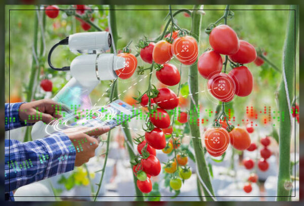 Artificial Intelligence and Its Role in Agriculture - Al Ardh Alkhadra