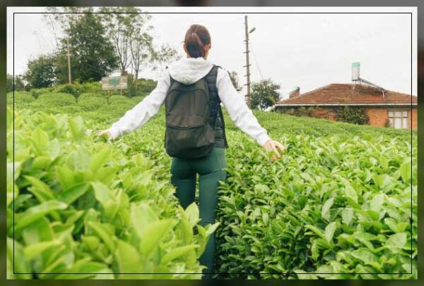 Contour Ploughing: An Overview - Al Ardh Alkhadra