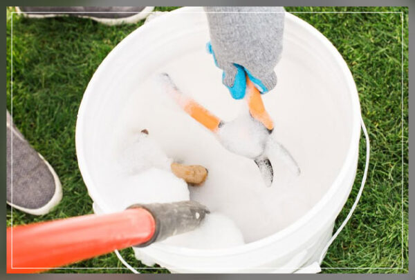 Cleaning Garden Tools - Al Ardh Alkhadra