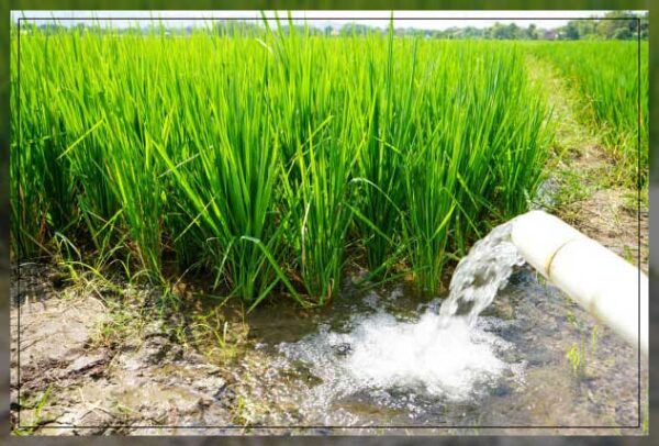 Ground Water And Its Importance in Farming - Al Ardh Alkhadra