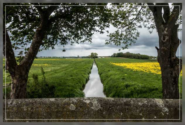 Water Pollution And Its Effect on Farming - Al Ardh Alkhadra