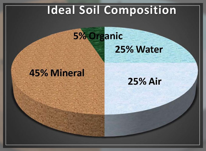 Soil Amendments: Improving the Garden Soil - Al Ardh Alkhadra