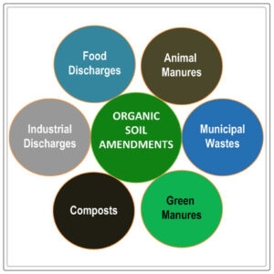 Soil Amendments: Improving the Garden Soil - Al Ardh Alkhadra