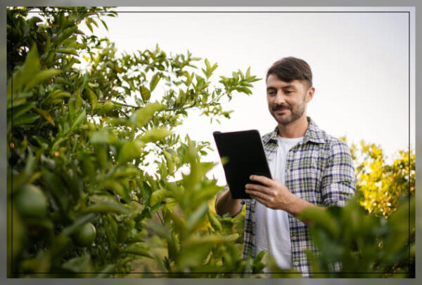 Farm Management: And Its Objectives - Al Ardh Alkhadra