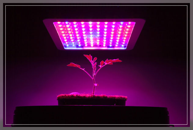 Hydroponic Lighting: Types and Components - Al Ardh Alkhadra