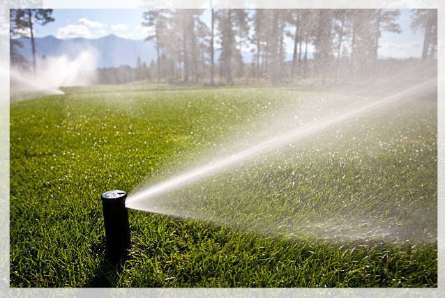 Sprinkler System: Planning and Installation - Al Ardh Alkhadra