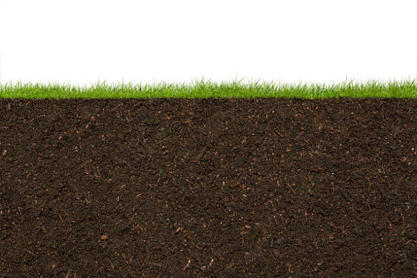 Humus Soil: Is it Good For Your Garden - Al Ardh Alkhadra