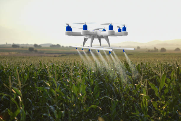 Smart Agriculture Solutions: Revolutionizing Food Production for a ...