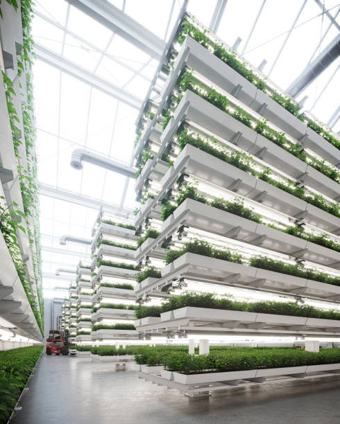 Vertical Farming Dubai: An Overview - Al Ardh Alkhadra